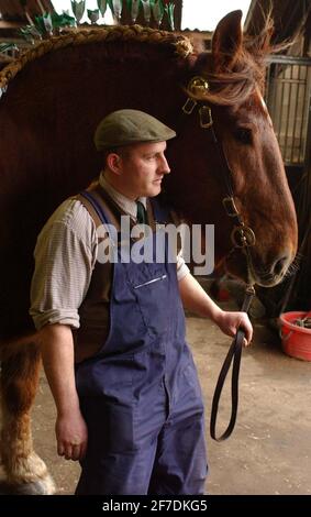 MATT BUNDOCK,HEAD HORSEMAN AT BANHAM ZOO IN NORFOLK WITH GEORGE A ...