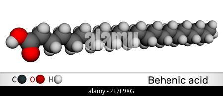 Behenic acid (docosanoic acid) saturated fatty acid molecule. Stylized ...