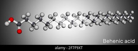 Behenic acid (docosanoic acid) saturated fatty acid molecule. Stylized ...