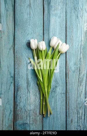 Tulip flowers on white painted wooden boards. Copy space. Floral spring ...