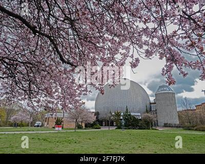 Berlin, Germany. 06th Apr, 2021. Peter Tauber (CDU), Parliamentary ...