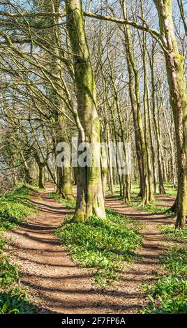 Choice - Which path to take in life Stock Photo - Alamy