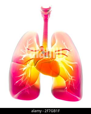 Shortness of breath, difficulty in breathing, acute and chronic dyspnea ...