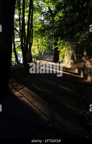 Cycle path in Paisley Stock Photo - Alamy