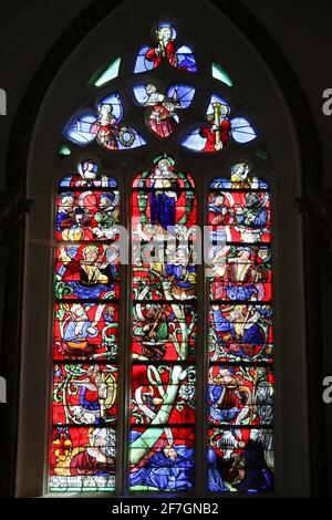 'The Tree of Jesse' is a medieval stained-glass window in the Buurkerk ...