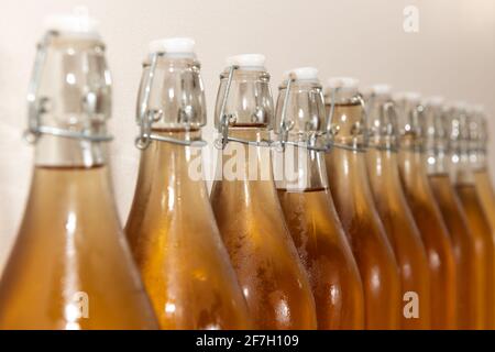 Close up of a row of flip top bottles of home made cider covered in ...
