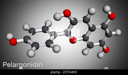 Pelargonidin pigment molecule. Skeletal formula Stock Photo - Alamy