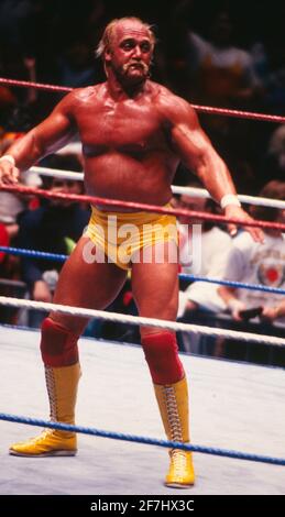 Hulk Hogan 1988 Photo By John Barrett/PHOTOlink Stock Photo - Alamy