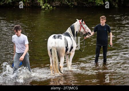 two Romany young gypsy traveller men on horses in river at Appleby ...