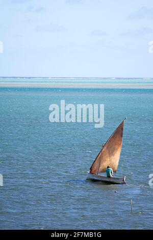 Traditional fisherman sailing boat, Rodrigues island, Mauritius Stock ...