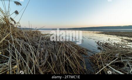 The amazing nature of Kaunas Lagoon in the spring morning Stock Photo ...