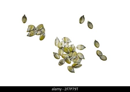 Seeds of gymnospermous pumpkin isolated on a white background. Pumpkin ...