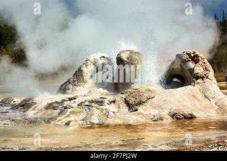 Grotto Geyser in Yellowstone National Park USA Stock Photo - Alamy
