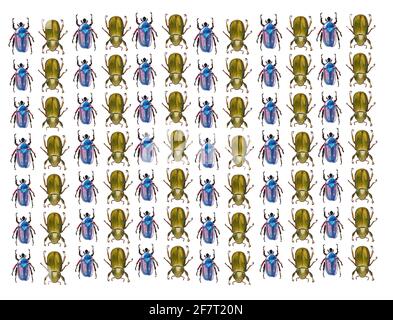 insect and bug patterns for cards fabrics planet Stock Photo - Alamy