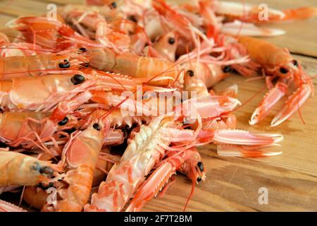 crayfish, fresh ready for cooking Stock Photo - Alamy