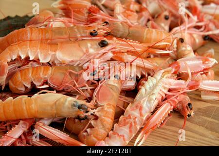 crayfish, fresh ready for cooking Stock Photo - Alamy