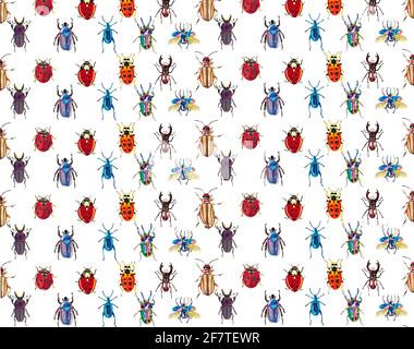 insect and bug patterns for cards fabrics planet Stock Photo - Alamy
