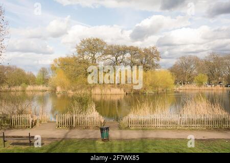 Mount Pond and island, Clapham Common, Clapham, London SW4, U.K Stock ...