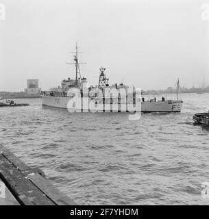 The British frigate HMS Redpole (F 69, 1943-1960) arrives in the port ...