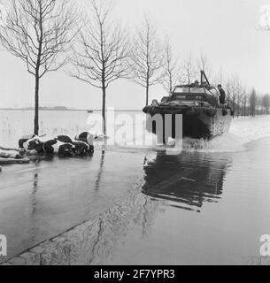 Watersnoodramp 1953. At the gathering place of drowned cattle on the ...