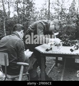 The German military cemetery. Identification of the remains of German ...