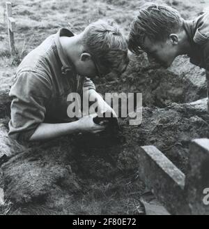 The German military cemetery. Identification of the remains of German ...