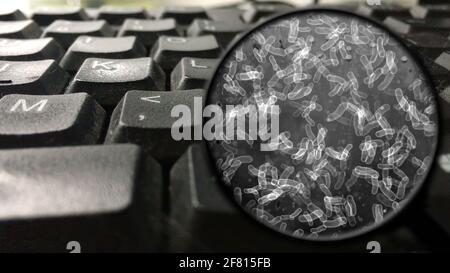 Searching for bacteria on computer keyboard Stock Photo - Alamy