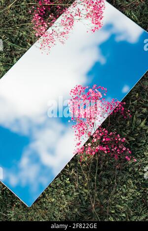 Amazing flat lay of a mirror on the grass, where you can see the clouds ...
