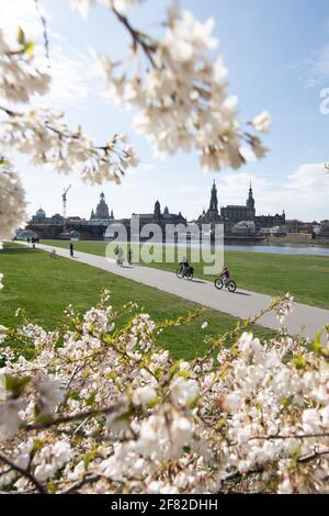 Dresden, Germany. 11th Apr, 2021. A delegate's voting cards lie on the ...