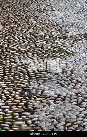 Traditional cobblestone pavement background, smooth river stones ...