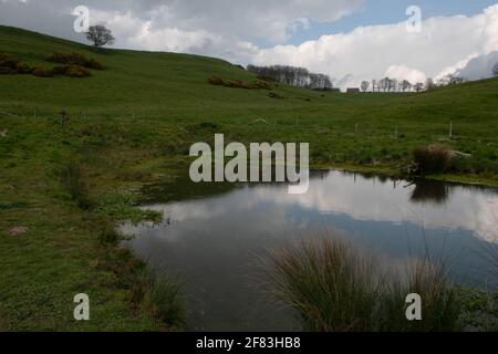 Pond at the site of the medieval village of Witcombe, near Montacute ...
