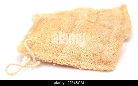 Natural scrubber of dried Ridge gourd over white background Stock Photo ...