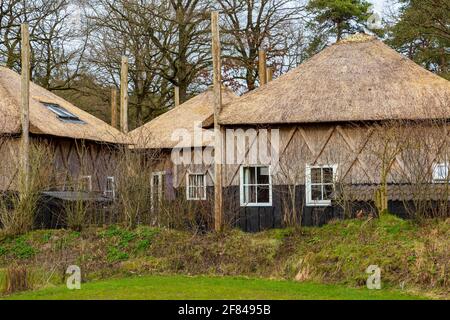 Rustic wooden holiday homes in the Netherlands Stock Photo - Alamy