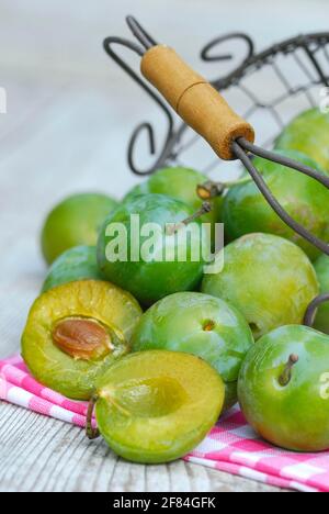 Reineclaude, Reneklode, Reneclode, Ringlotte,Prunus domestica (Prunus ...