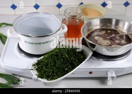 Production of ribwort syrup (Plantago lanceolata), syrup, cooking pot ...