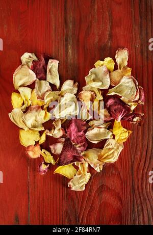 A heart made of pink flower petals on the white background - Valentine ...