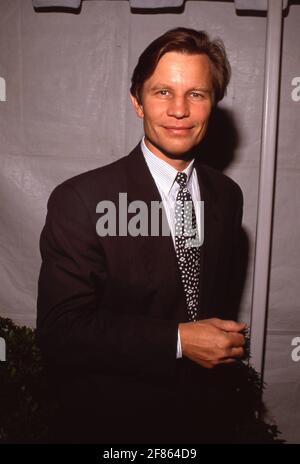 Michael York Circa 1980's Credit: Ralph Dominguez/MediaPunch Stock ...