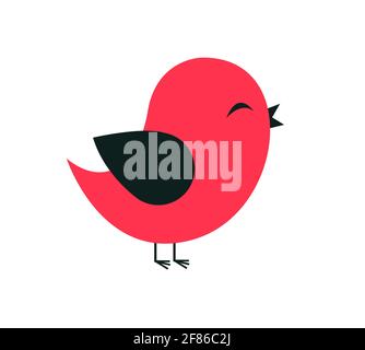 Colored Bird vector illustration Stock Vector Image & Art - Alamy