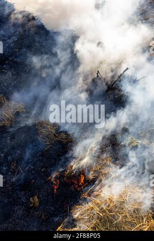 Burning manure pile at farm, air pollution and contamination, aerial ...
