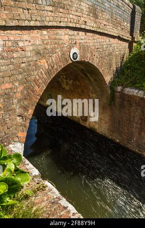 World war II Taunton Stop Line, Canal bridge with refilled demolition ...