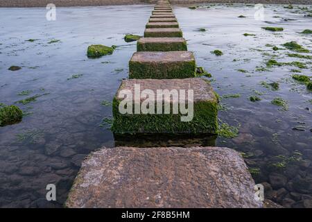 stepping stones footpath walkway crossing cross across the shimna river ...