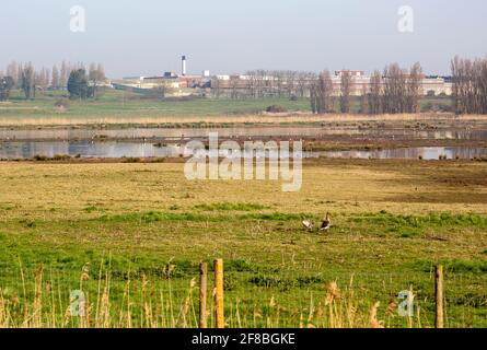 HMP Warren Hill prison from Hollesley Marshes RSPB site, Suffolk ...