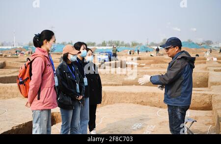Oracle bone with scripts unearthed from The Tomb of Fu Hao. Beijing ...