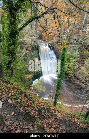 Falling Foss Waterfall at Littlebeck near Whitby, North York Moors. At ...