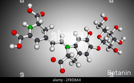 Betanin, molecule. It is betalain plant pigment, red glycosidic food ...