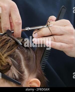 Hands of hairdresser hold hair strand between his fingers making ...