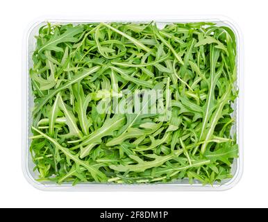 Fresh arugula in plastic container isolated on white background; top ...