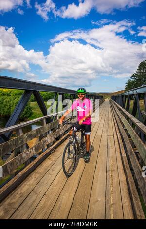 Cyclists on the Otago Central Rail Trail, Otago, South Island, New ...