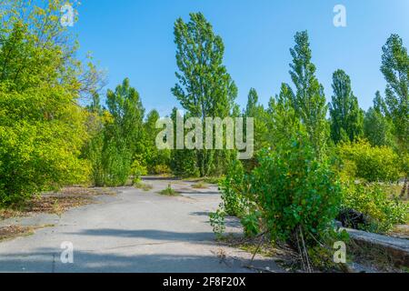 Nature takes over the Ukrainian town Pripyat Stock Photo - Alamy