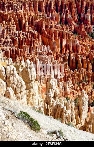 Inspiration Point Lookout in the Bryce Canyon National Park. Utah USA ...